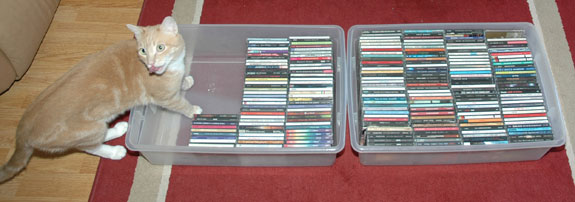 Downsizing a Large Music Collection the “KonMari” Way | My Wardrobe, Myself