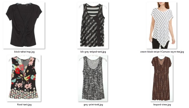 The “Plate Exercise” and NAS Shopping Update | My Wardrobe, Myself