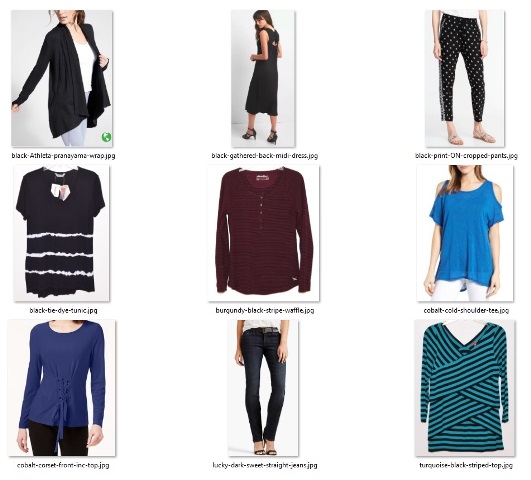 The “Plate Exercise” and NAS Shopping Update | My Wardrobe, Myself